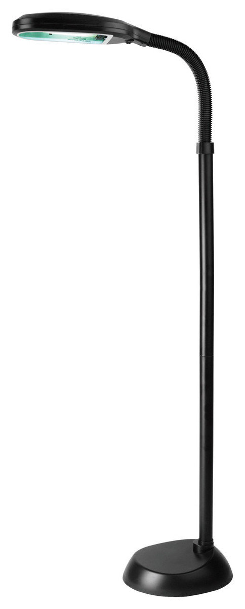 Aptos 1 Light Floor Lamp, Black - Transitional - Floor Lamps - by Elite ...