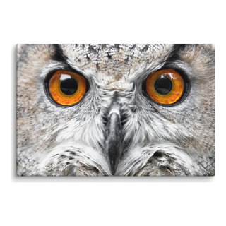 Close-up Yellow Owl Eyes Animal Wildlife Photograph Canvas Wall Art ...