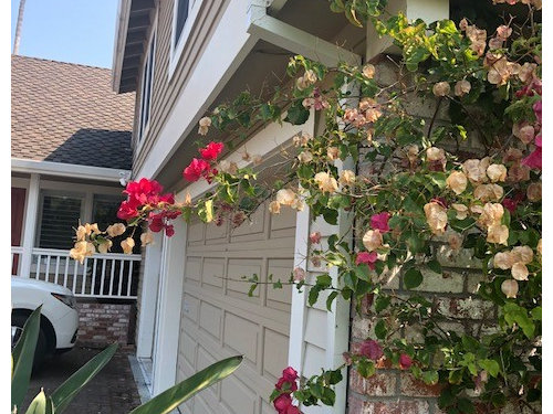 How do we build a garage trellis/arbor with this soffit in the way?