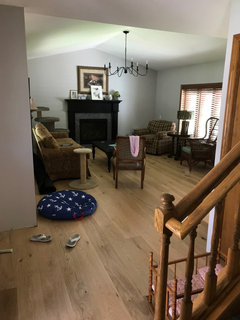 Treacherous step down from living room into dining room | Houzz Forum