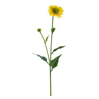 Rudbeckia Spray, Yellow, Pack of 12 - Artificial Flower Arrangements ...