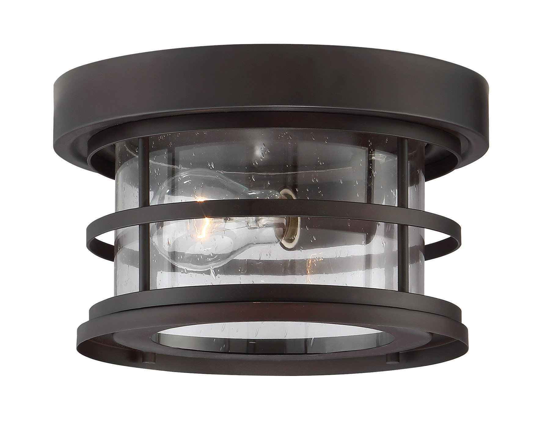 Barrett 10" Outdoor Ceiling Light - Transitional - Outdoor Flush-mount ...
