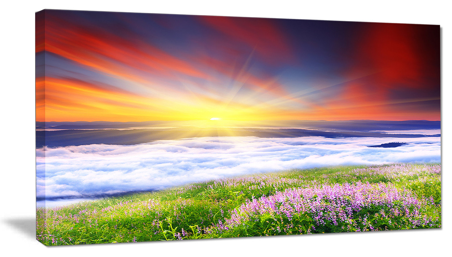 "Sunrise With Blooming Flowers" Landscape Art Canvas Print, 32"x16 ...