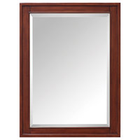 Avanity Madison 24" Mirror Cabinet - Transitional - Medicine Cabinets ...