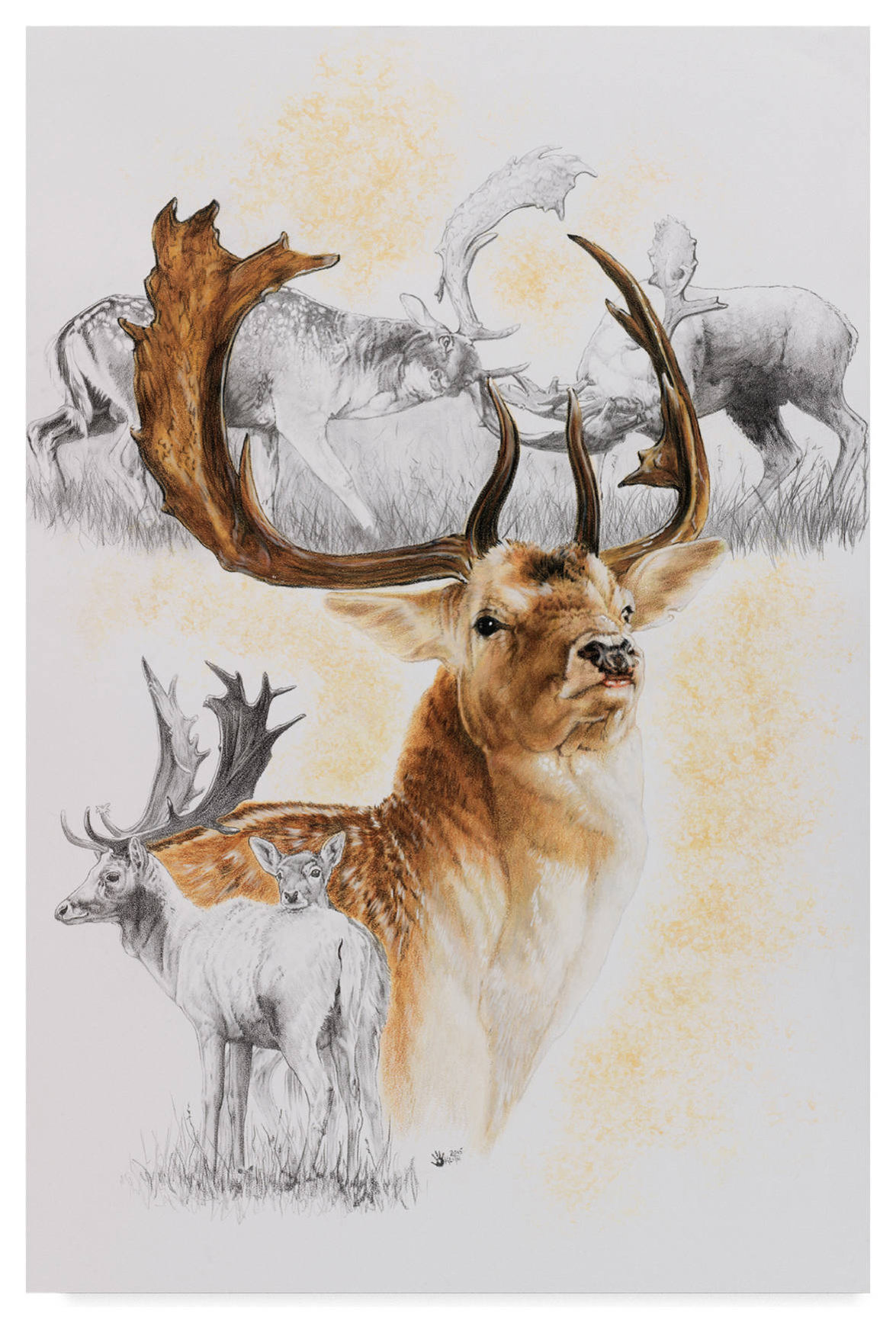 "Follow Deer" by Barbara Keith, Canvas Art, 30"x47" - Rustic - Prints ...