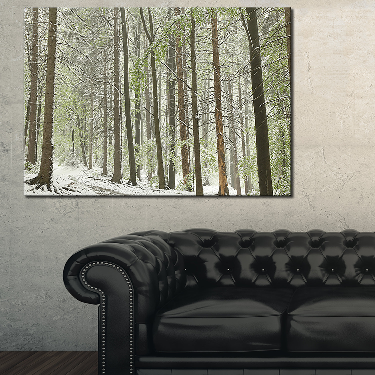 "Spring Beech Forest Scenery" Canvas Print, 40"x30" - Contemporary ...