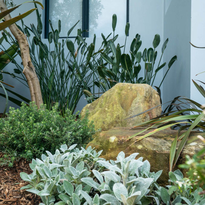 75 Beautiful Beach Style Garden Ideas & Designs - February 2026 | Houzz AU