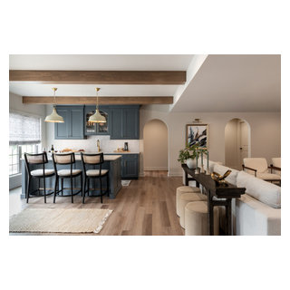 Gorgeous Lower-Level Remodel with Exterior Compliments - Transitional ...