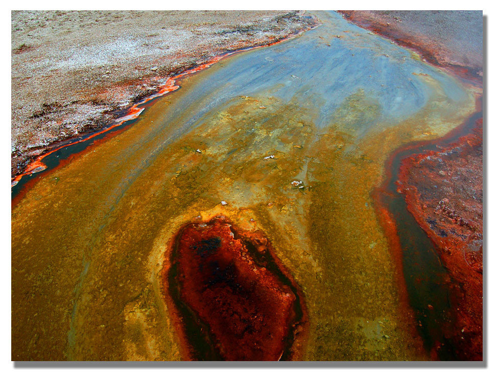 'Yellowstone Rusty Geyser' Canvas Art by Nicole Dietz, 18" x 24 ...
