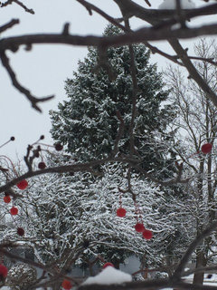 Cozy Up to Winter Scenes Across the U.S. and Beyond