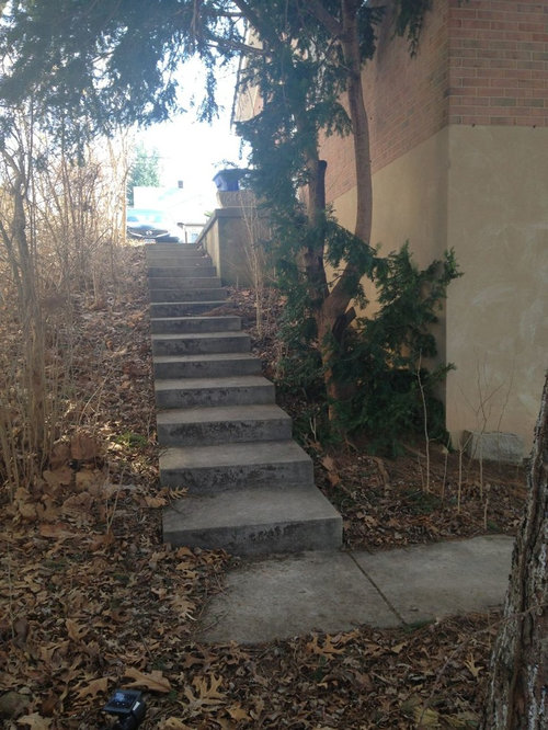 Neglected Yard & Exterior - what to do, where to start?