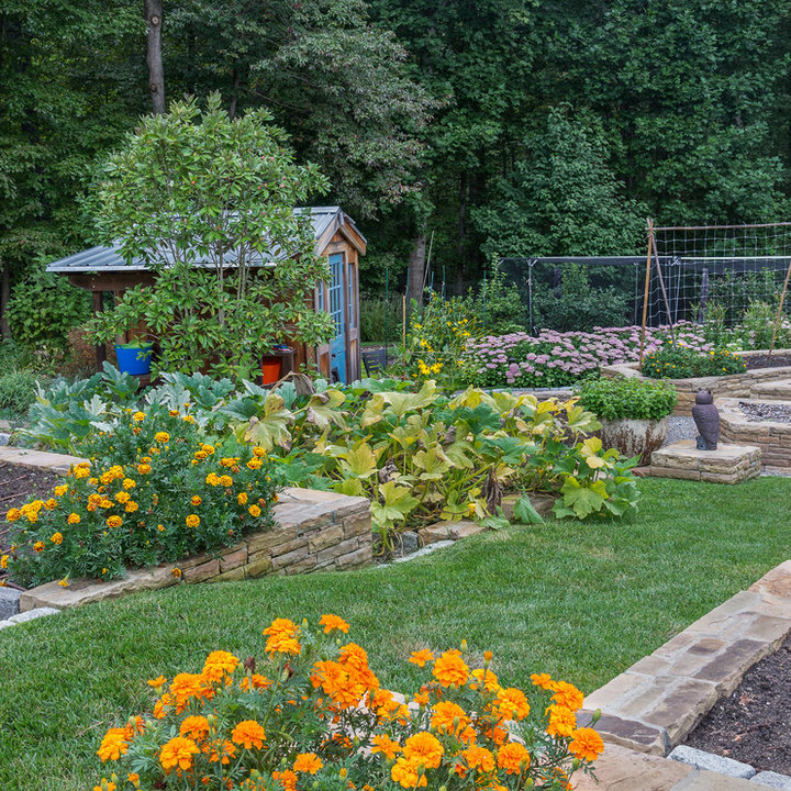 75 Beautiful Large Garden Ideas & Designs - May 2024 | Houzz AU