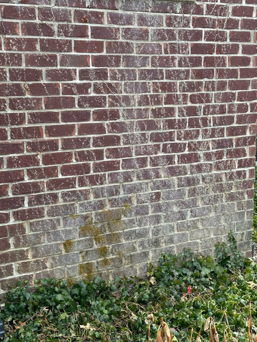 Brick Damage / Discoloration on 10 year old Home