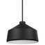 Holgate 1 Light Black Pendant - Transitional - Pendant Lighting - by ...