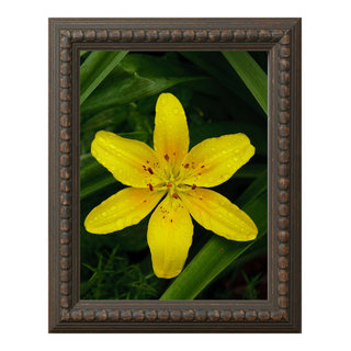 Grand Bohemian 1.375" Wide Solid Wood Picture Frame, 4"x6" - French ...