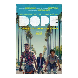 Dope Print, 11 x 17 - Contemporary - Prints And Posters - by Posterazzi ...