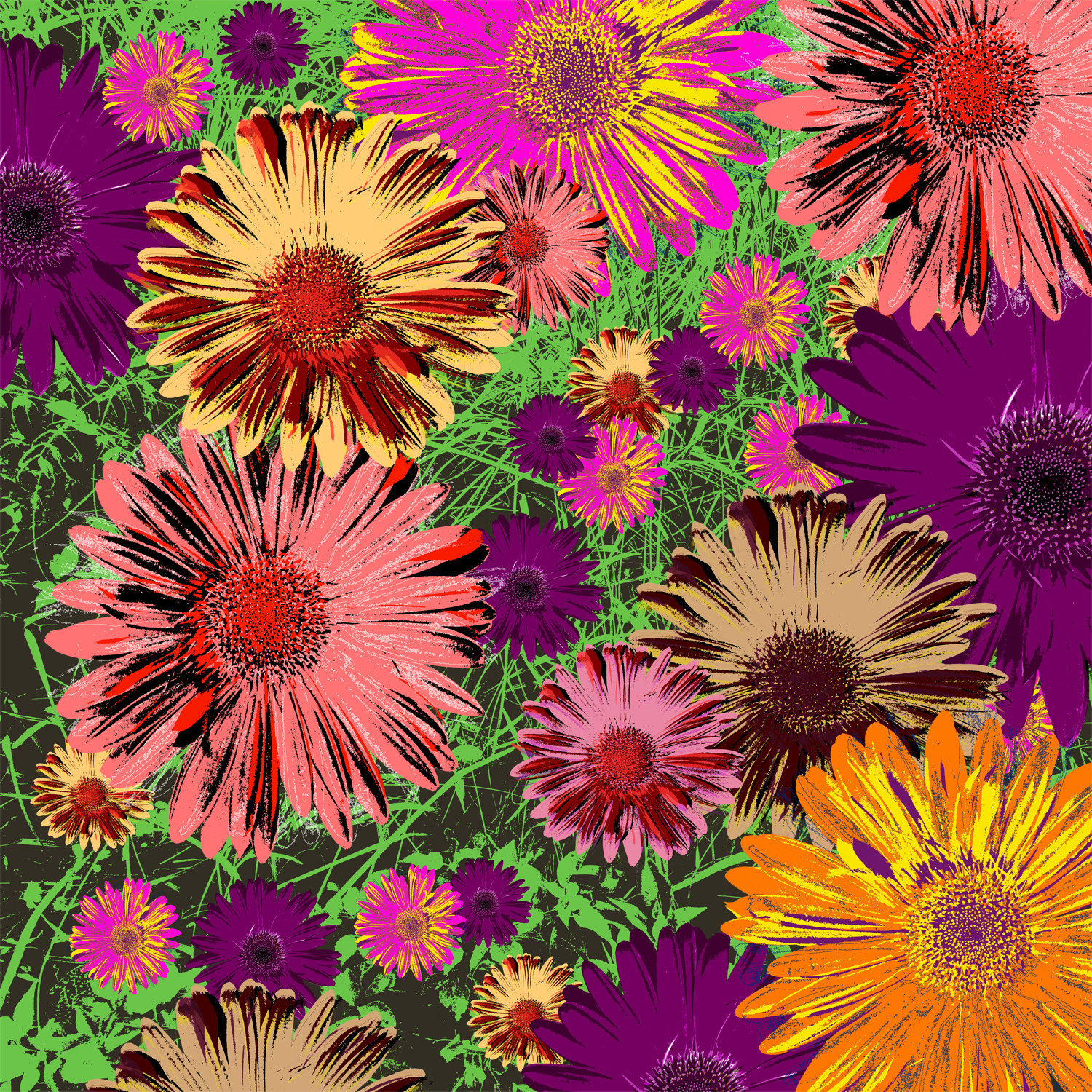 Gerbera Pop Art Print, 55x55 Rolled - Contemporary - Prints And Posters ...
