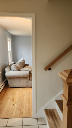 Yellow or Cream paint colors?