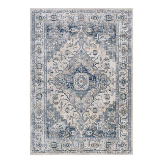 Surya Jolie JLO-2305 Traditional Area Rug, 7'10" x 10' Rectangle ...