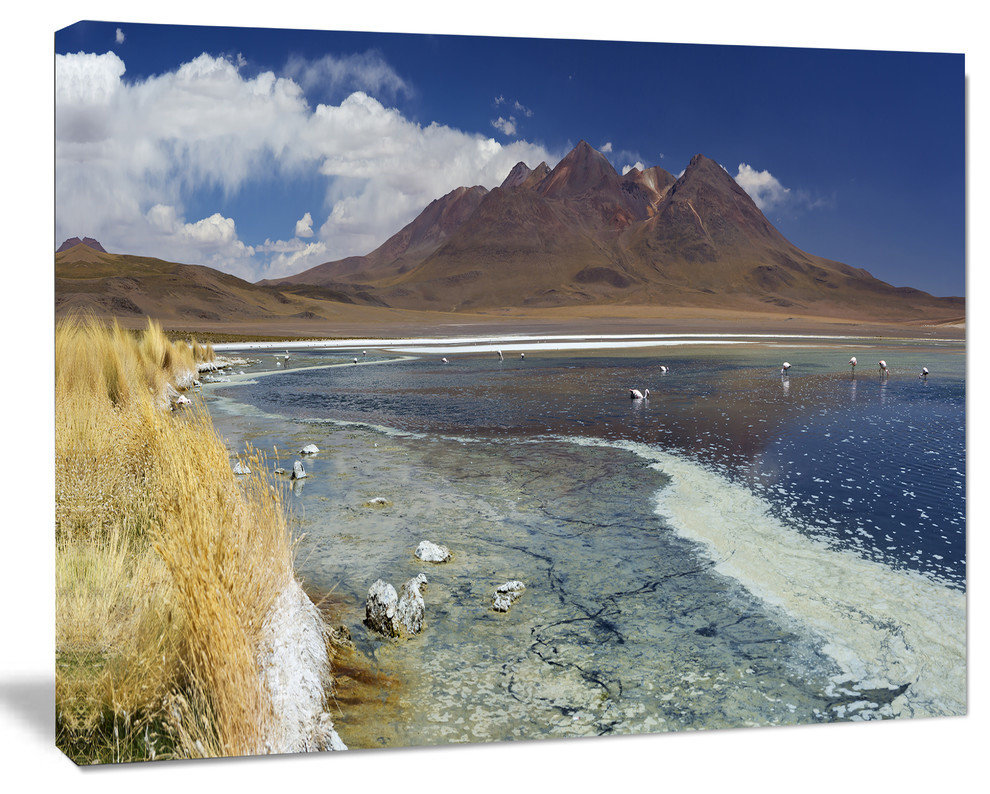 Desert Lake Laguna Canapa on Sunny Day, Seashore Canvas Wall Art, 40 ...