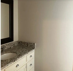 Bathroom wall too bare | Houzz Forum