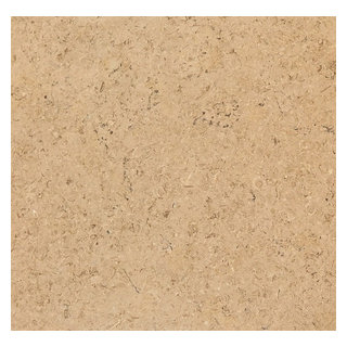 Trieste Limestone Tiles, Polished Finish, Sample - Traditional - Wall ...