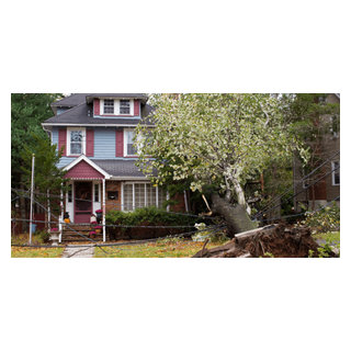 Emergency Tree Service Virginia Beach - Exterior - Other - by Tracstar ...