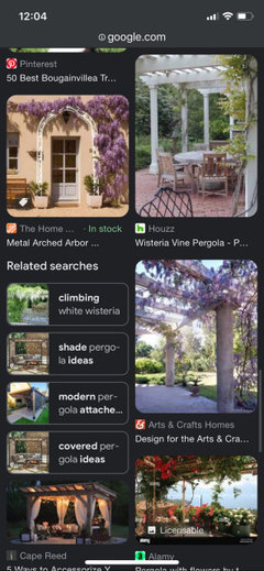 HELP! Snout House Needs Ideas! Is curb appeal possible?