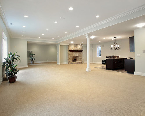 Look-out Basement Design Ideas, Renovations & Photos with Green Walls