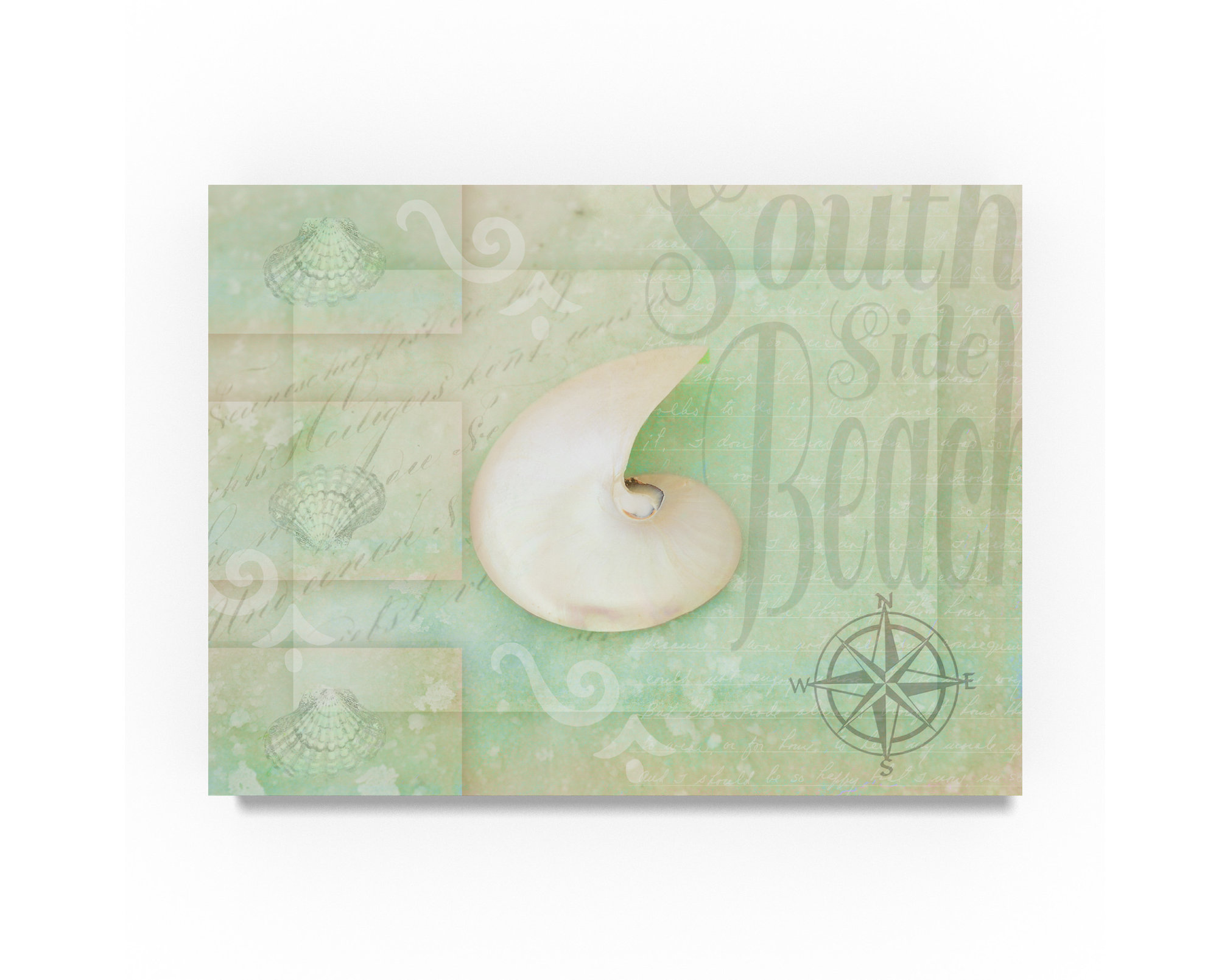 "Gypsy Sea Green Shell Spiral" by Lightboxjournal, Canvas Art, 32"x24 ...