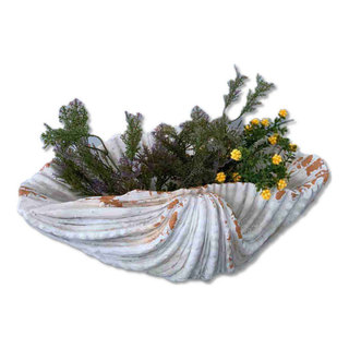 6" Distressed Cream and Terra Cotta Scallop Shell Planter - Beach Style ...