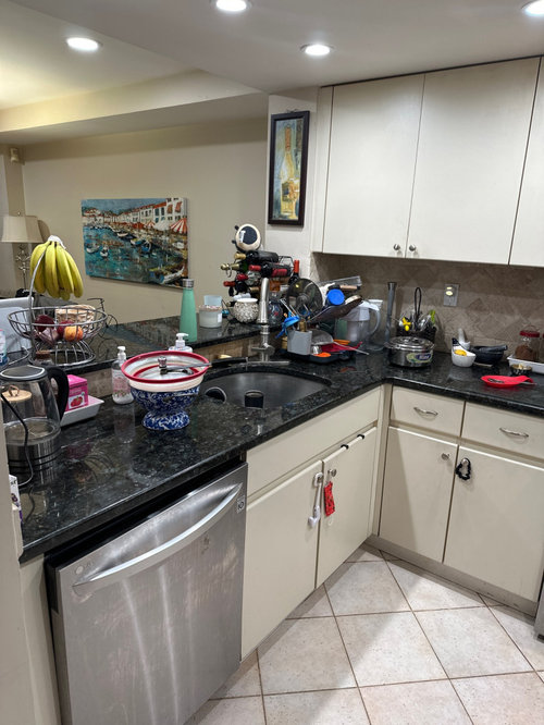 Condo Kitchen Ideas | Houzz Forum