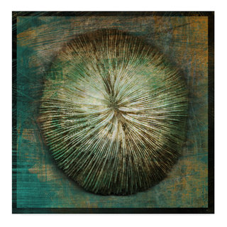 John W. Golden 'Coral' Canvas Art, 24"x24" - Beach Style - Prints And ...
