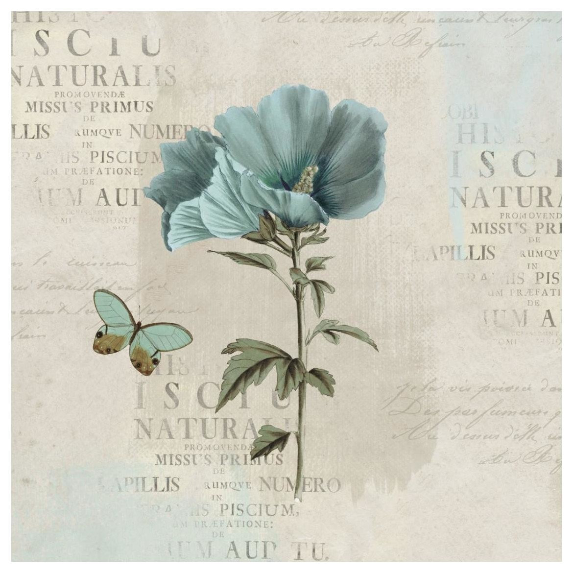 "En Bleu V" Digital Paper Print by Katie Pertiet, 20"x20", 30"x30 ...