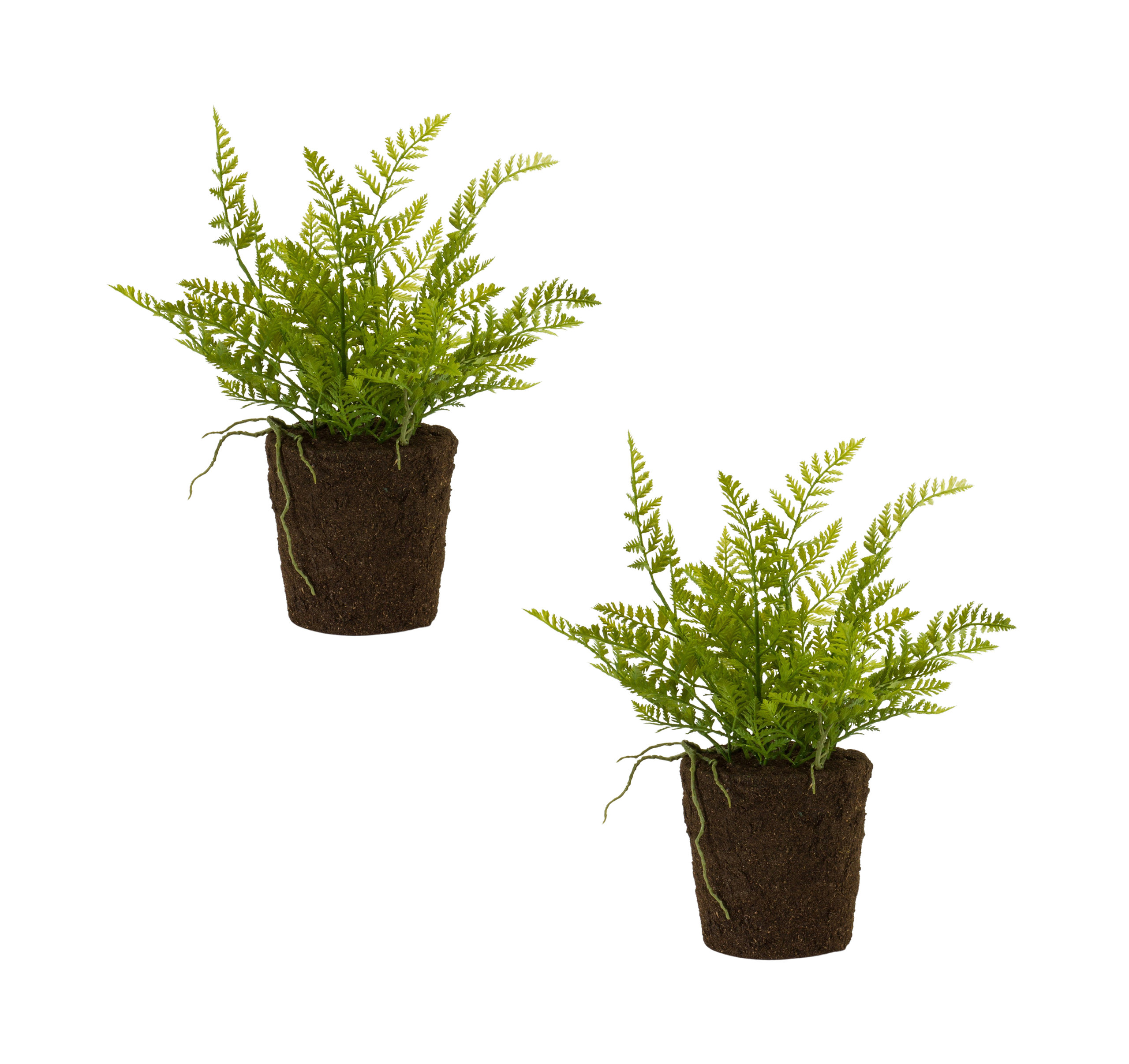Potted Fern Plant, 3-Piece Set - Traditional - Artificial Plants And ...