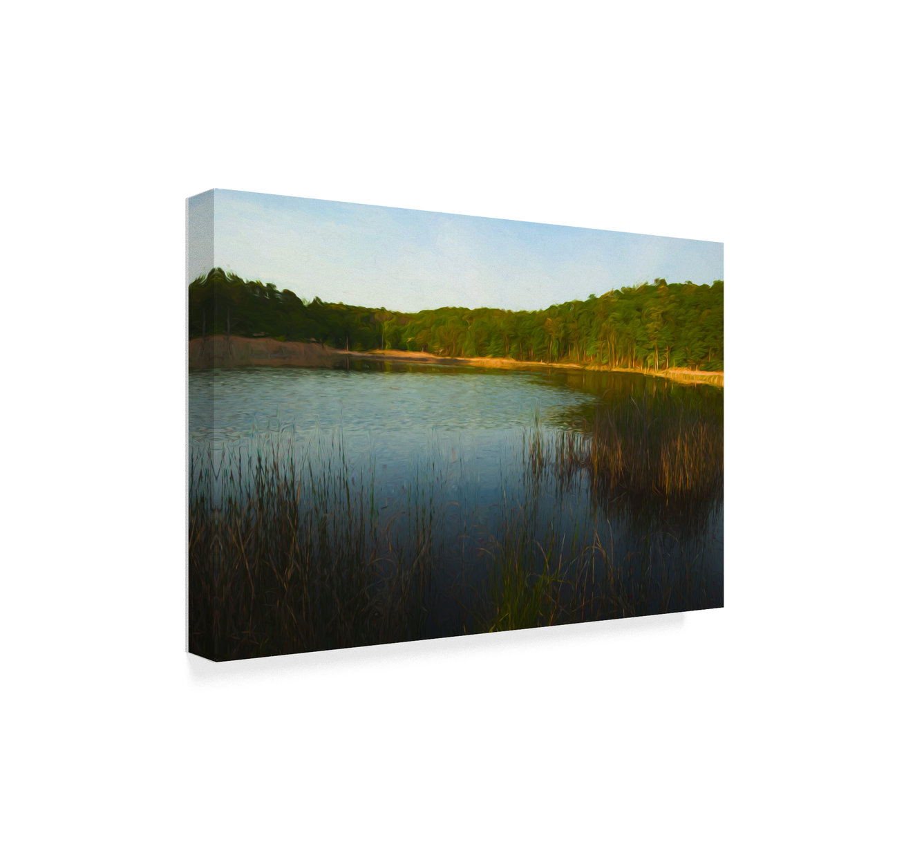 "Bulrush In Pond At Evening" by Anthony Paladino, Canvas Art, 22"x32 ...