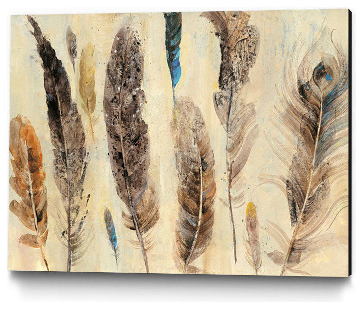 "Feather Study" Museum Mounted Canvas Print, 40"x30" - Contemporary ...