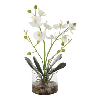 Uttermost Glory Orchid - Contemporary - Artificial Flower Arrangements ...