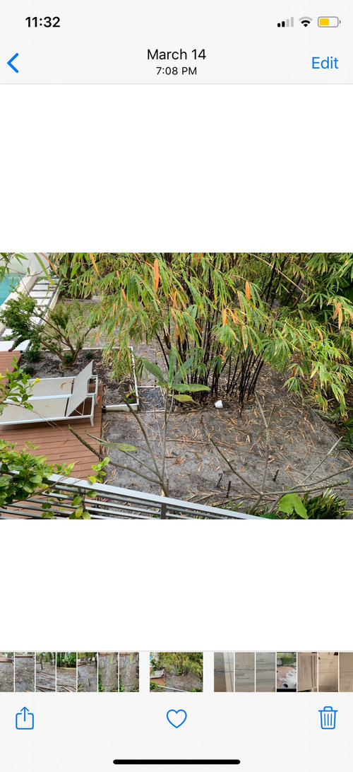 before and after steps