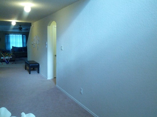 Long BLANK Hallway/ Entryway