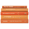Modern Canyon Book Stack, 5-Piece Set - Traditional - Books - by Booth ...