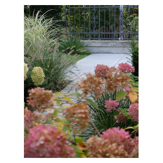 Eleganter Stadtgarten - Modern - Garten - Bonn - von besgen ...