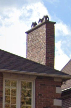 Why are the tops of our chimneys growing moss?