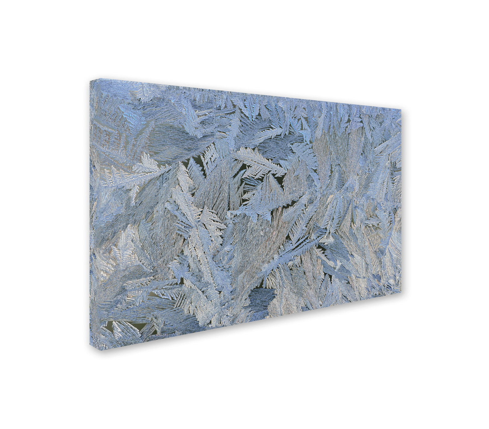 'Frost Pattern #6' Canvas Art by Kurt Shaffer, 12" x 19" - Traditional ...