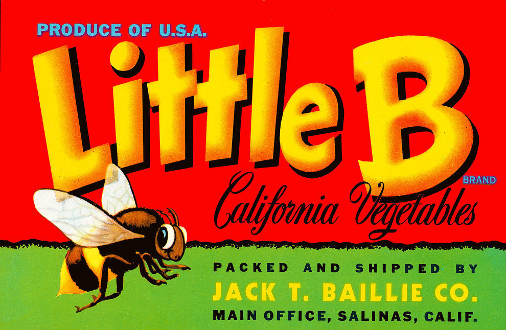 Little B Brand California Vegetables Print, 36" x 46" - Contemporary ...
