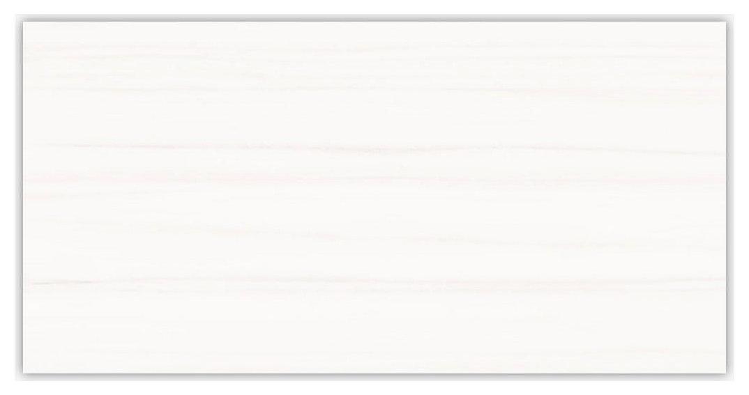 Premium Dolomite Polished 24x48 Porcelain Tile, 24X48 - Traditional ...