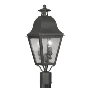 Livex Lighting 2552 Amwell Post Light - Traditional - Post Lights - by ...