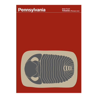 Pennsylvania Trilobite Print, 8" x 10" - Contemporary - Prints And ...