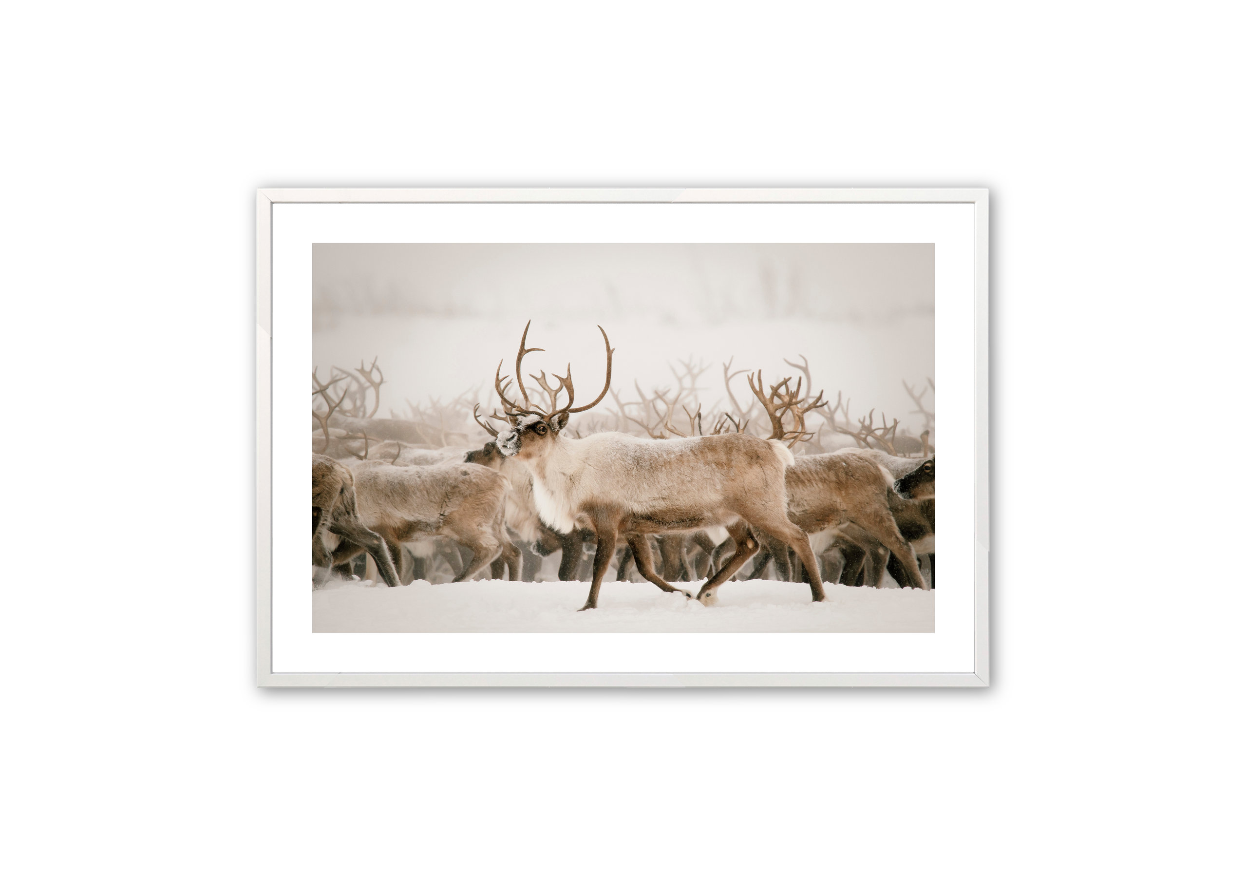 Splendor of Nature Framed Print, 16" x 20" - Rustic - Prints And ...
