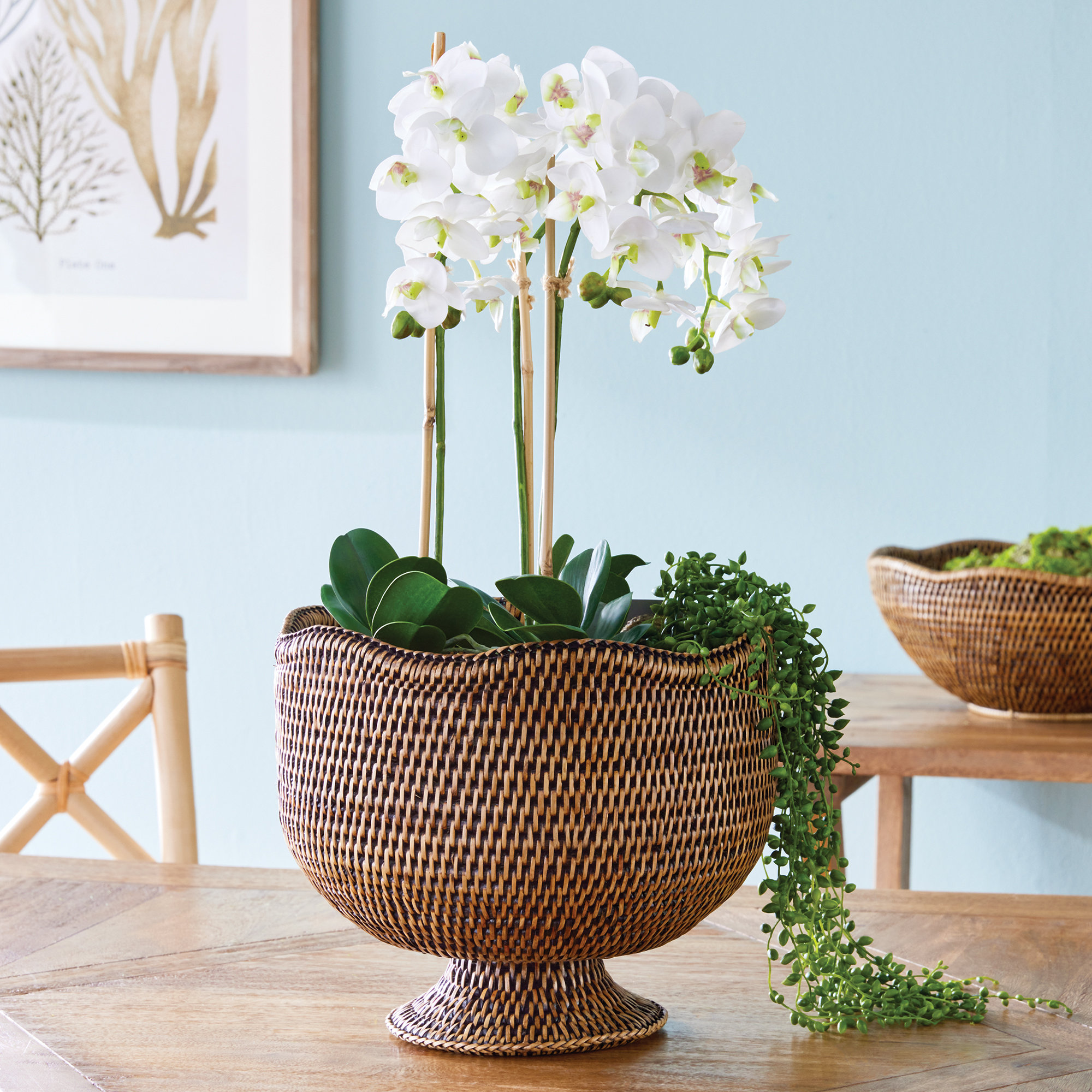 Burma Rattan Footed Cachepot - Tropical - Indoor Pots And Planters - by ...